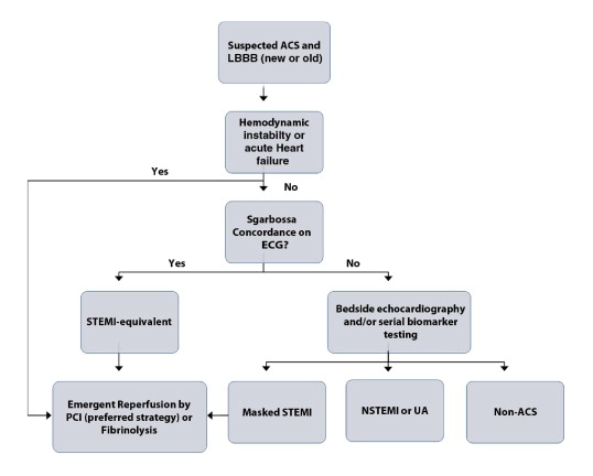 New Algorithm for Patients with LBBB and Suspected MI « CardioExchange
