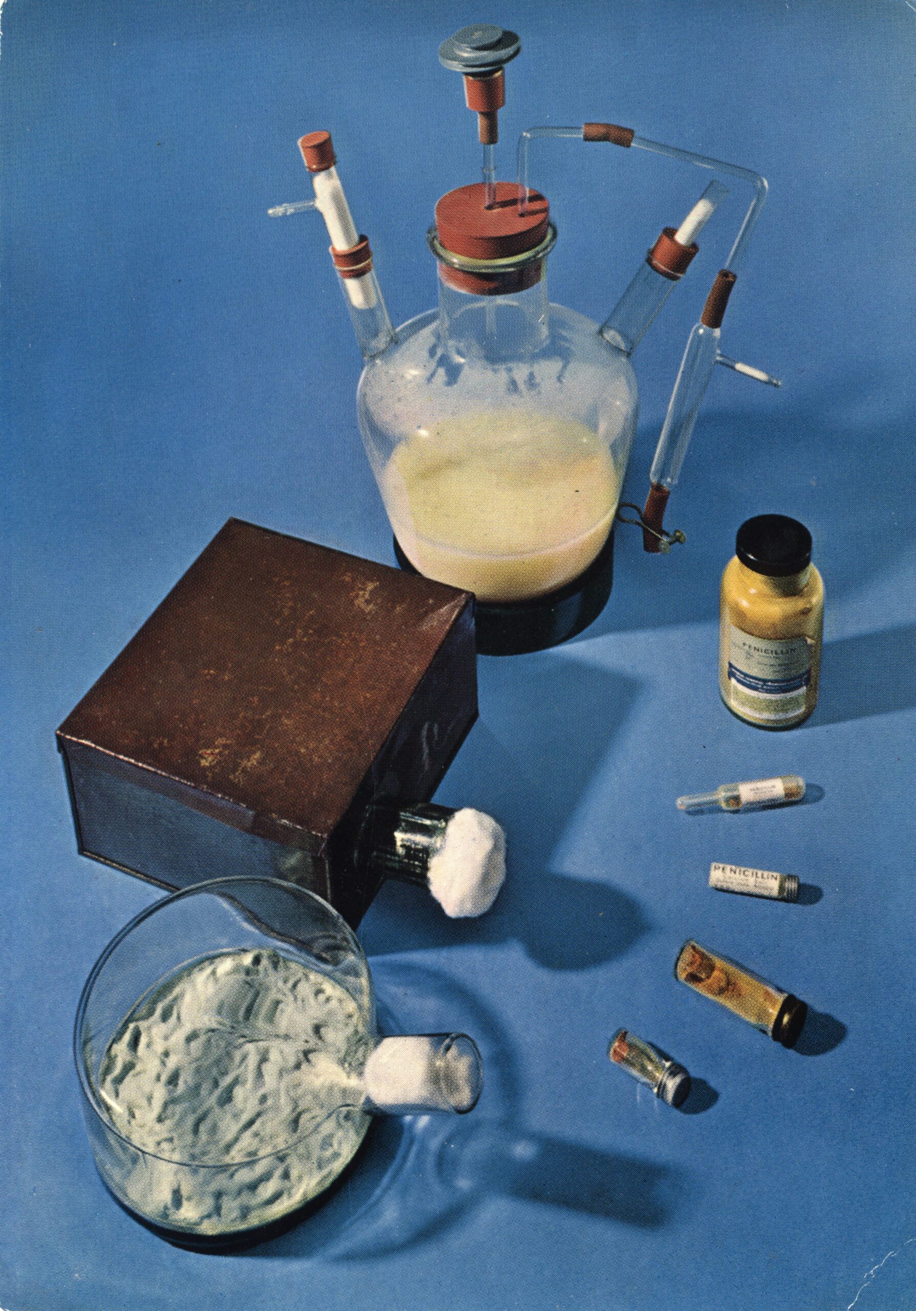 Why We Have Antibiotic Shortages and Price Hikes — And What One Very ...